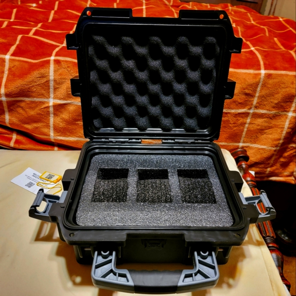 Invicta Watch Case - Gem